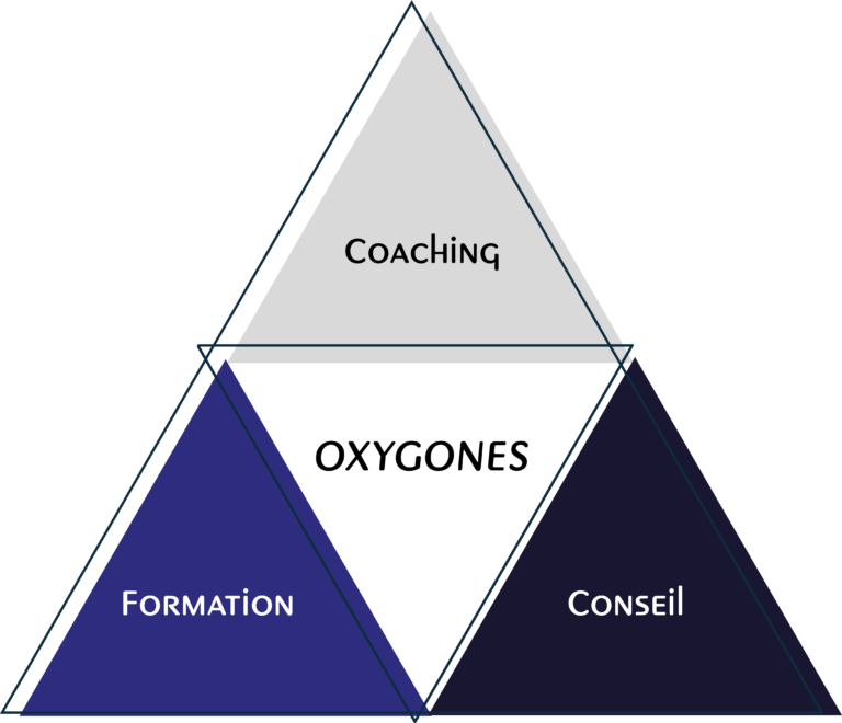 A propos – Oxygones